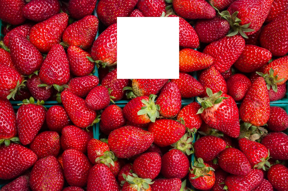 Can You Find The Missing Piece 