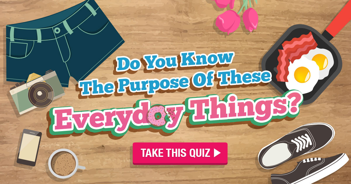 Do You Know The Purpose Of These Everyday Things? Quiz