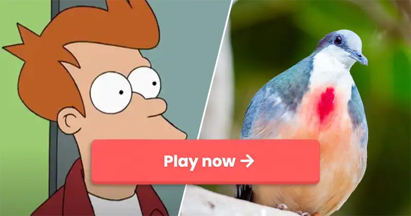 Those With Encyclopedic Knowledge Will Get 15 on This Quiz