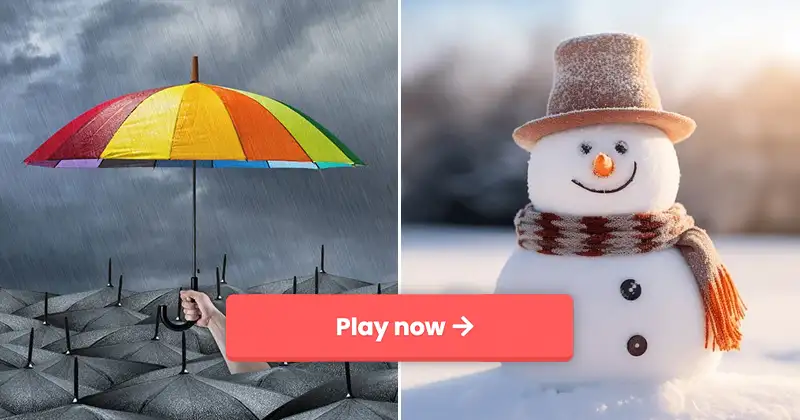Are These 20 Things Missing 'Rain' Or 'Snow'? Quiz
