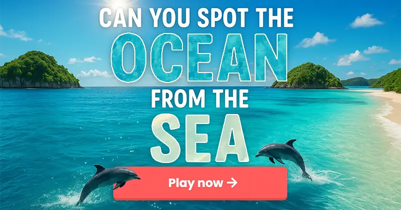 Can You Spot the Ocean from the Sea? Quiz
